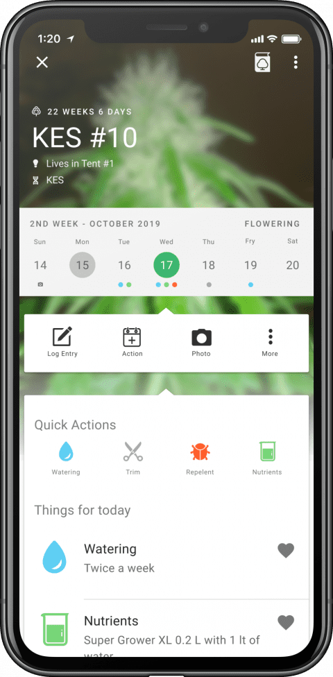 Grow with Jane | The best app for Cannabis home growers