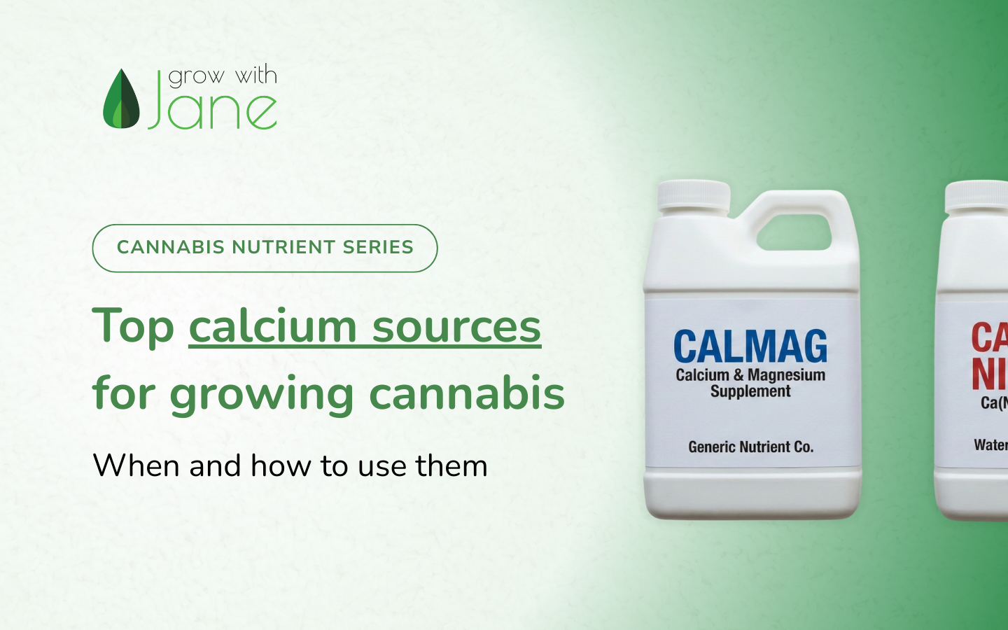Top calcium sources for growing cannabis – Full guide