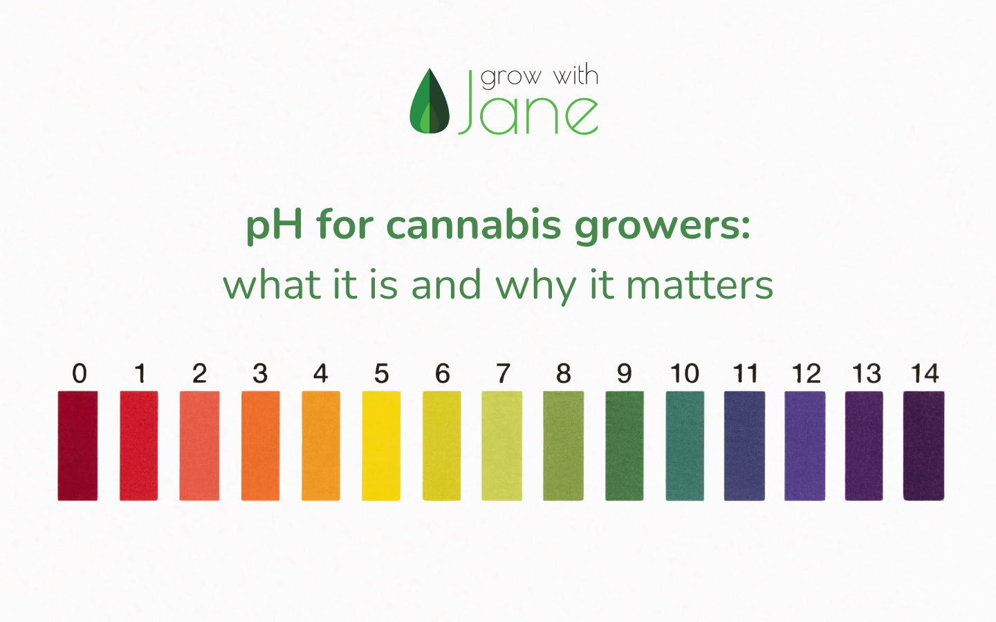 pH for cannabis growers: what it is and why it matters - Grow with Jane